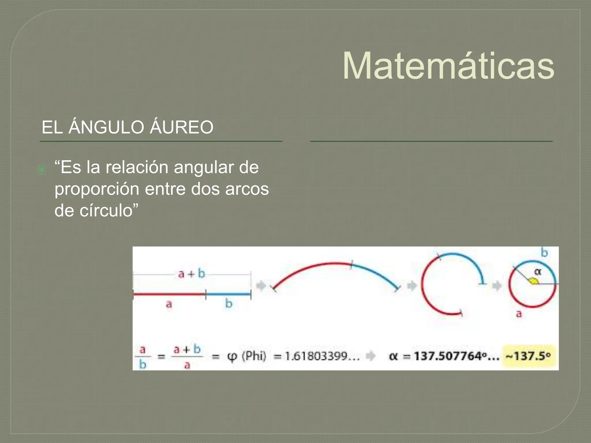 La_proporcion_aurea.pptx Leonardo Da Vinci | PPTX