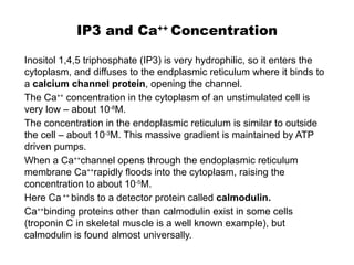 Dr_Wright_Signalling into cells 1.pptx d | PPTX