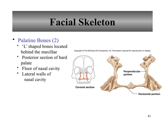 DRx Rohit patil (skelaton system HAP ).pptx