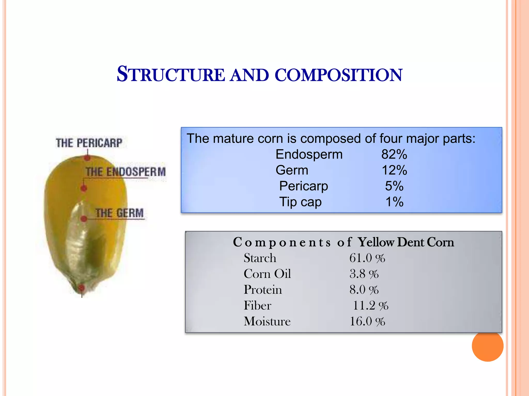 Dry and wet milling of corn | PPTX