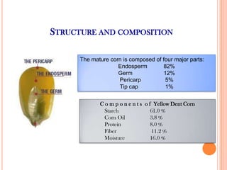 Dry and wet milling of corn | PPTX