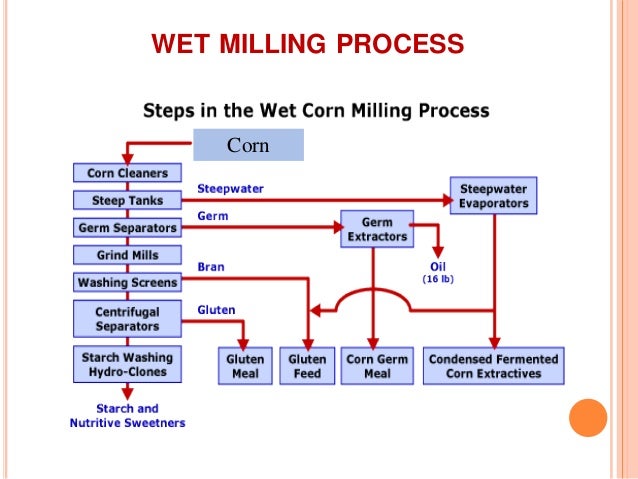 Dry and wet milling of corn