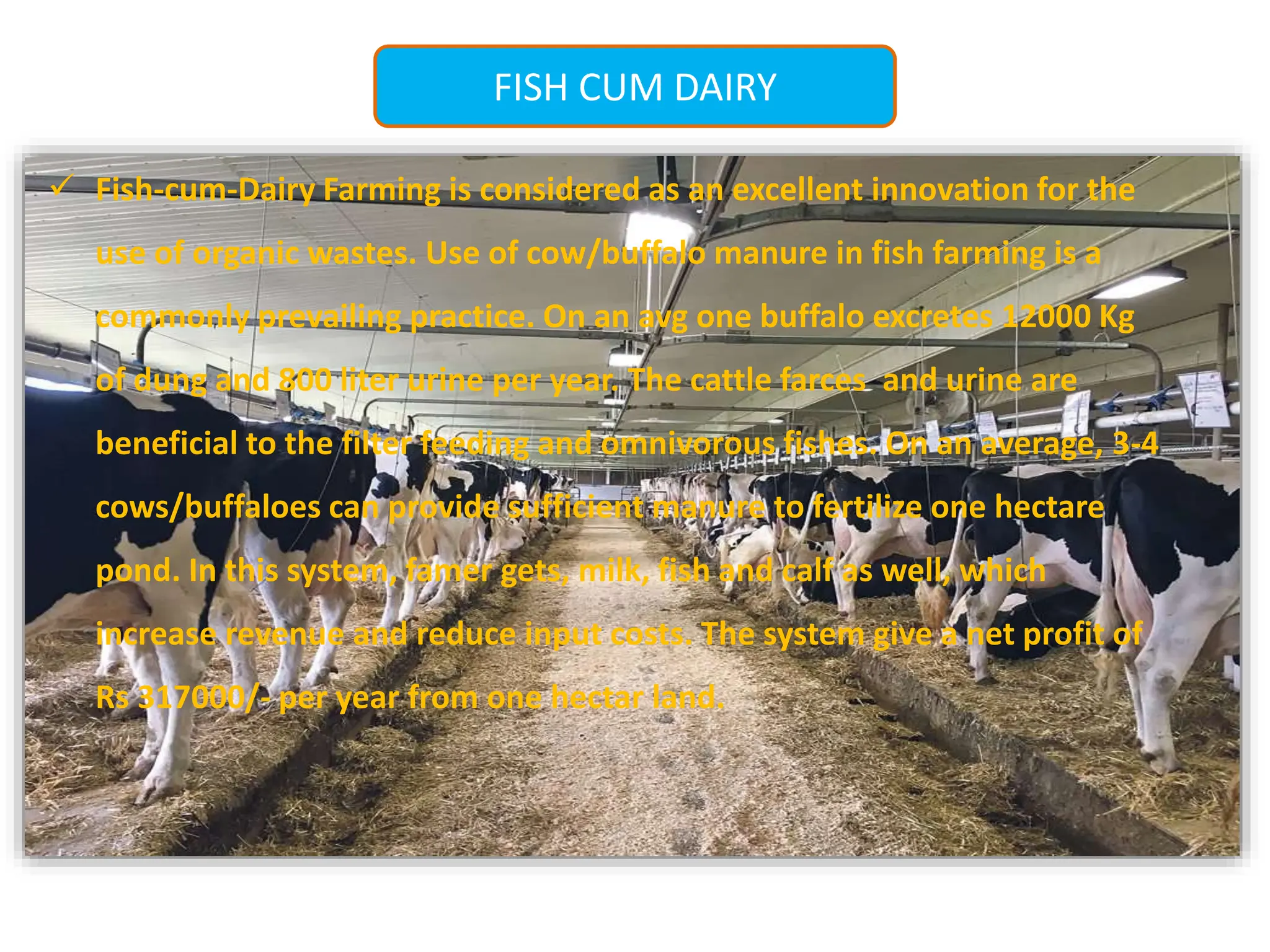 Preparation of enterprise budget for integrated fish farming | PPTX