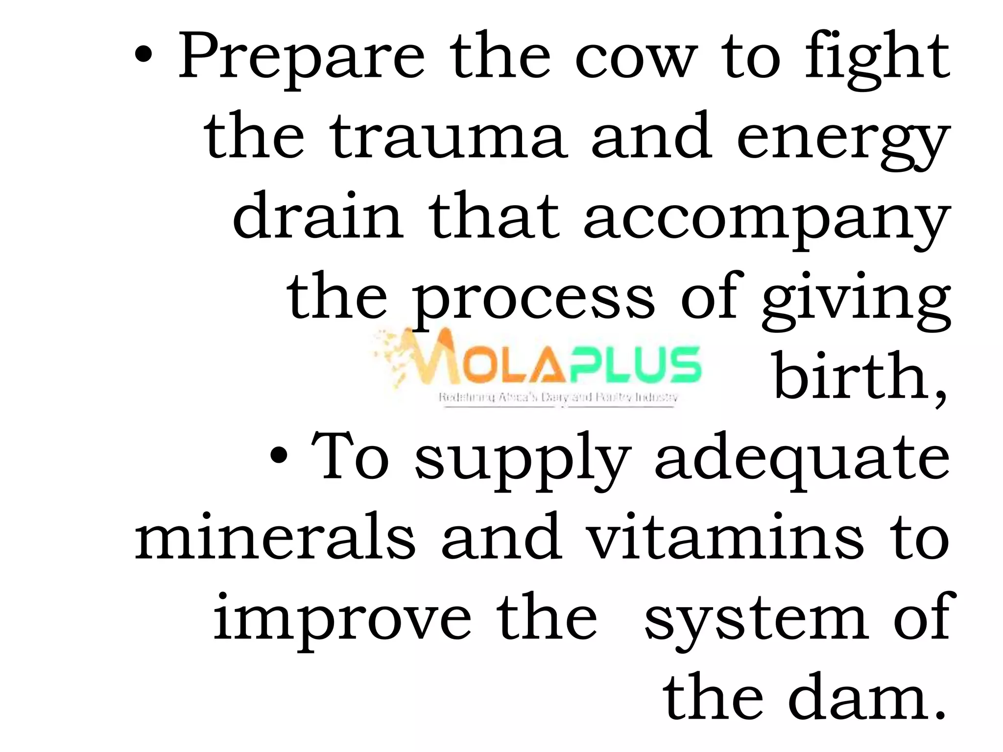 Dry cow and heifer management | PPTX
