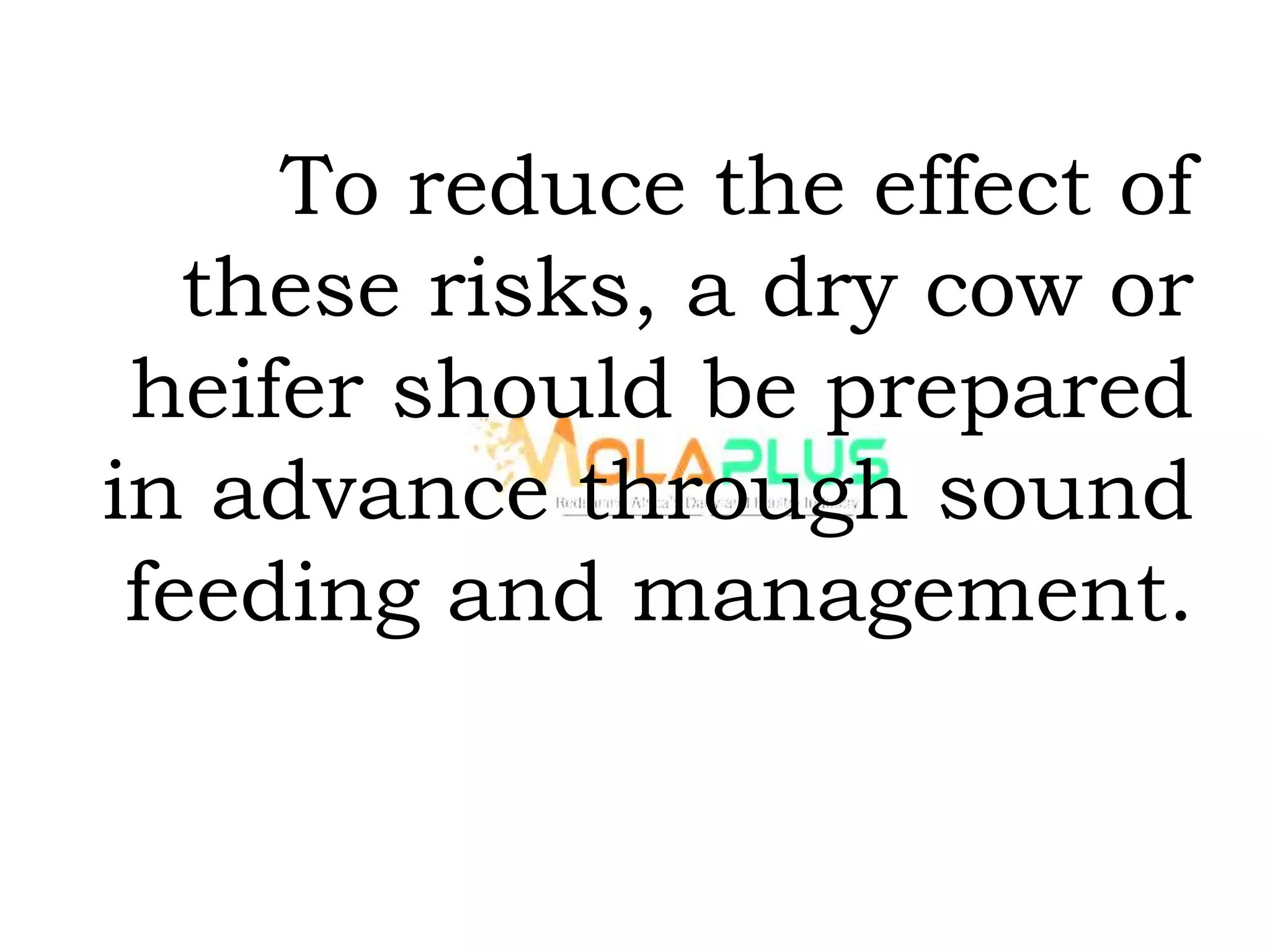 Dry cow and heifer management | PPTX