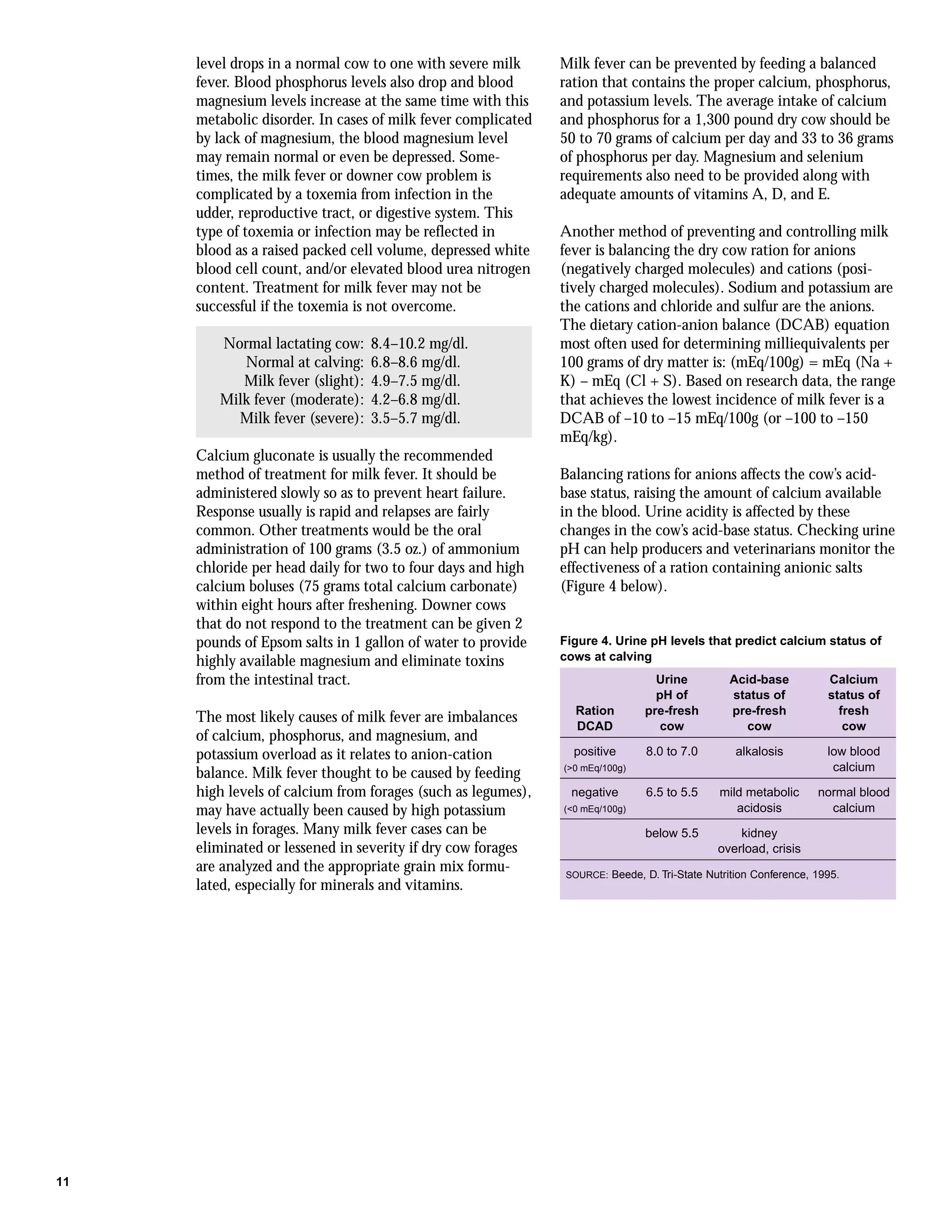 Dry cow management | PDF