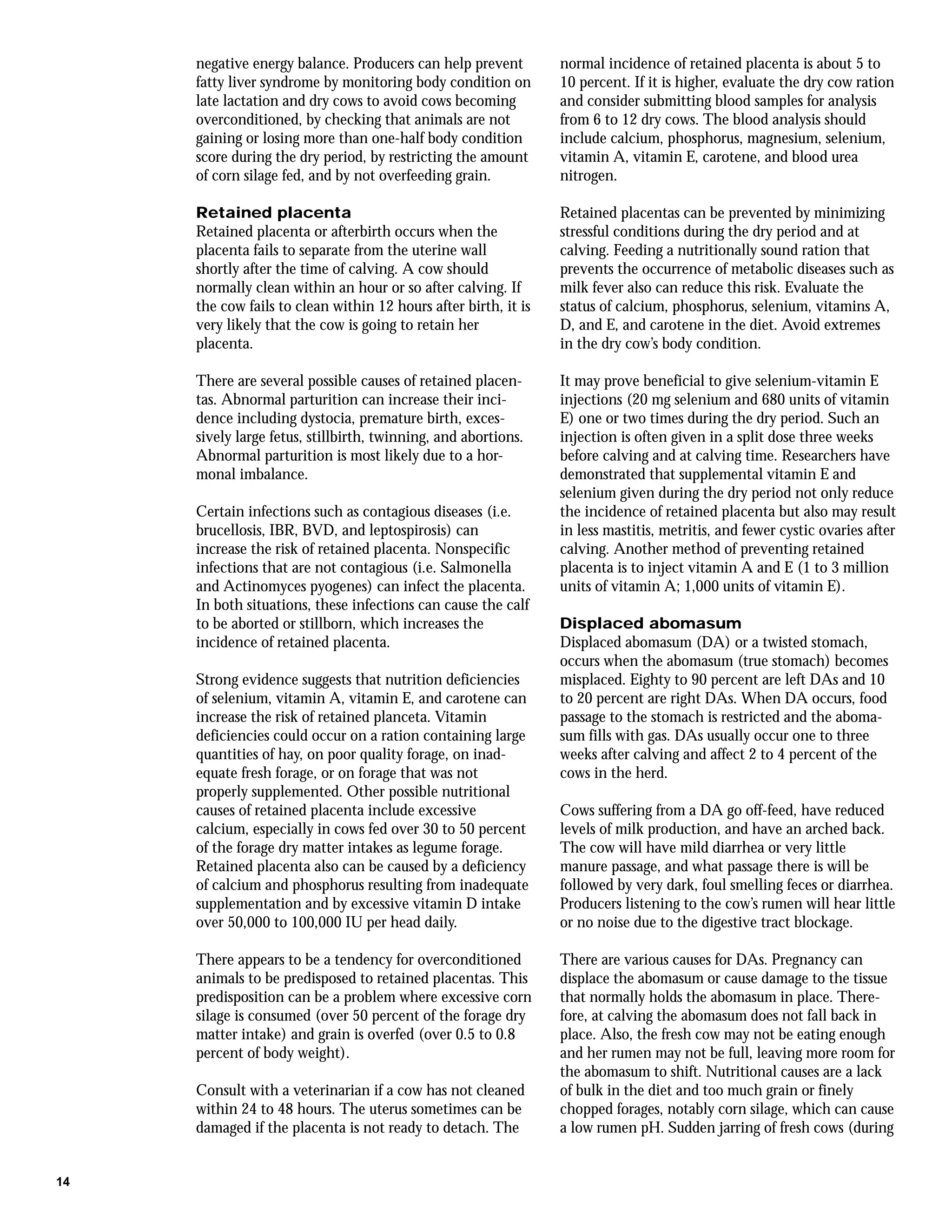 Dry cow management | PDF