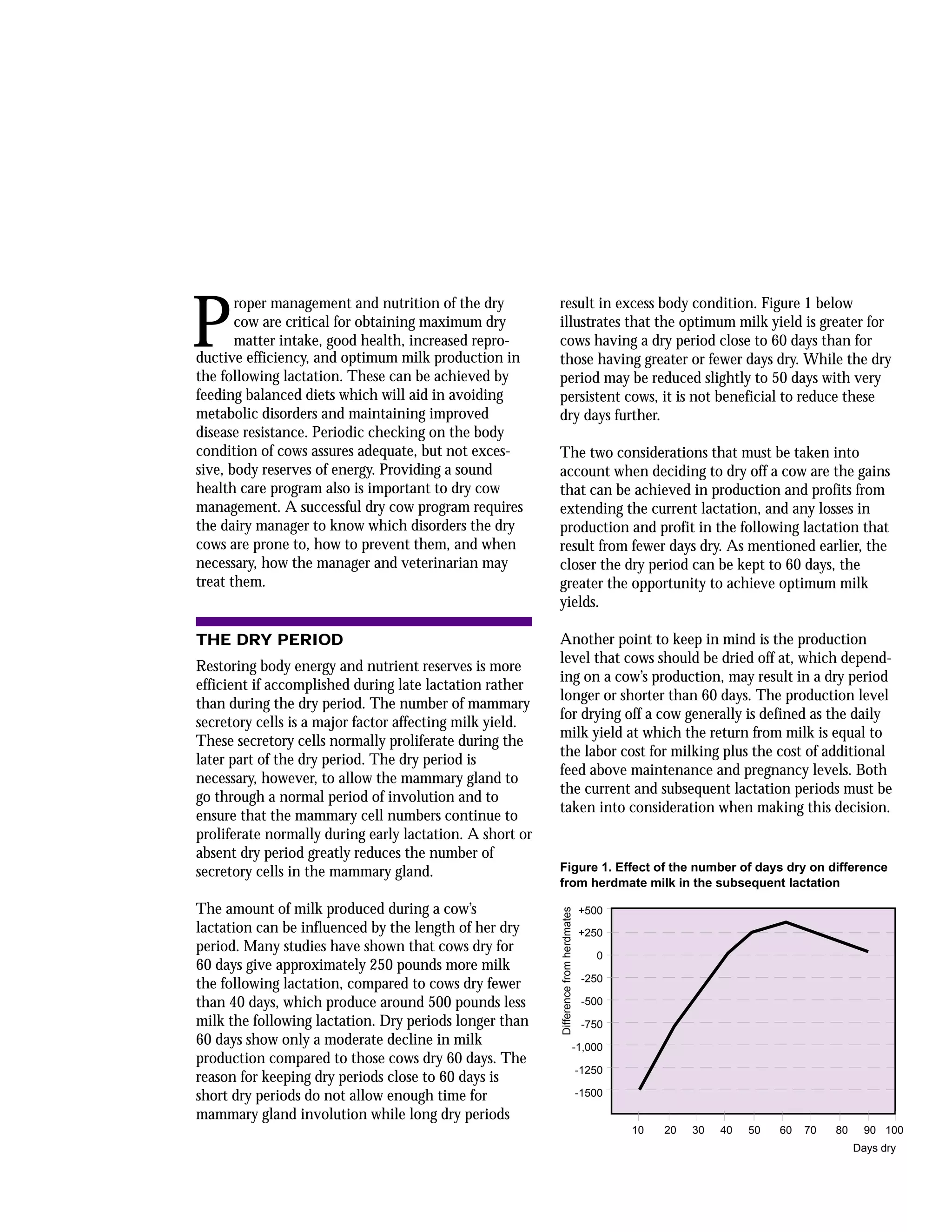 Dry cow management | PDF