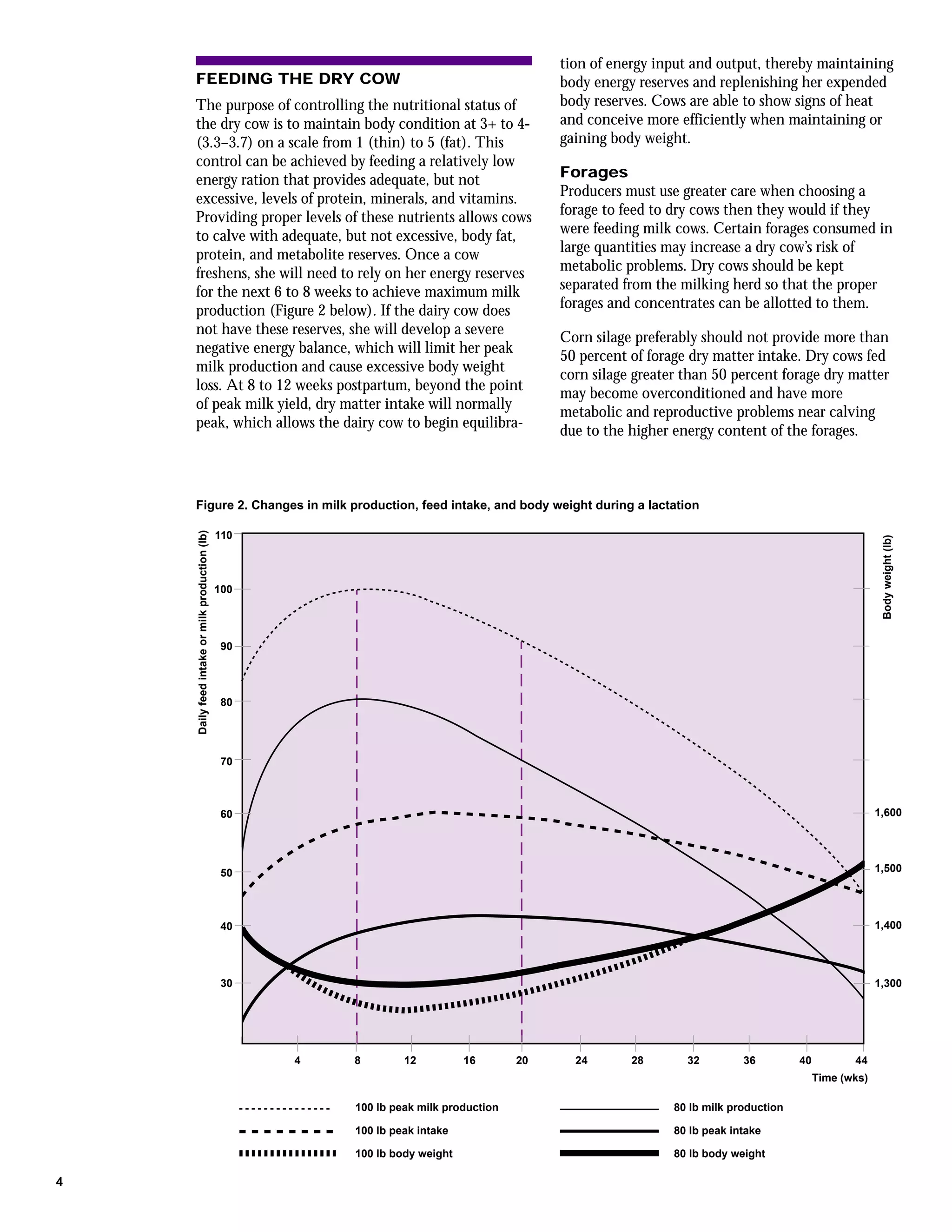 Dry cow management | PDF