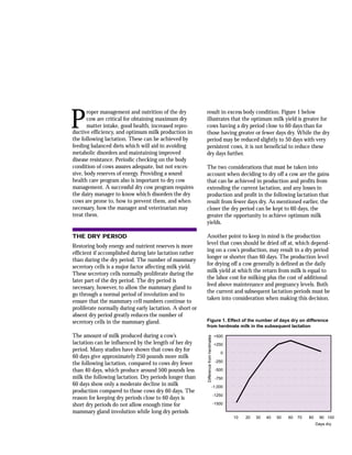 Dry cow management | PDF