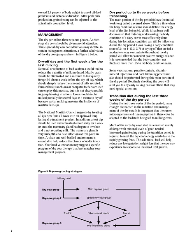 Dry cow management | PDF