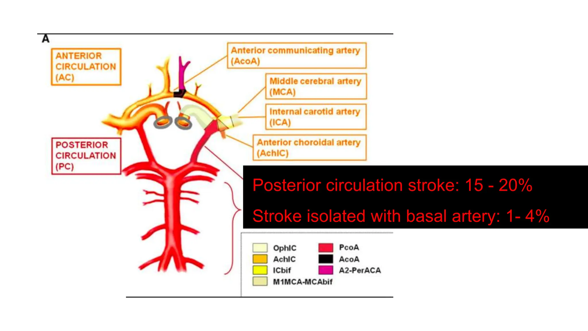 tandem occlusion of VERTEBRAL BASILAR ARTERY OCCLUSION | PPTX