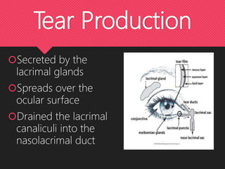 Dry eye | PPT