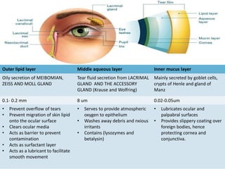 Dry eyes | PPTX