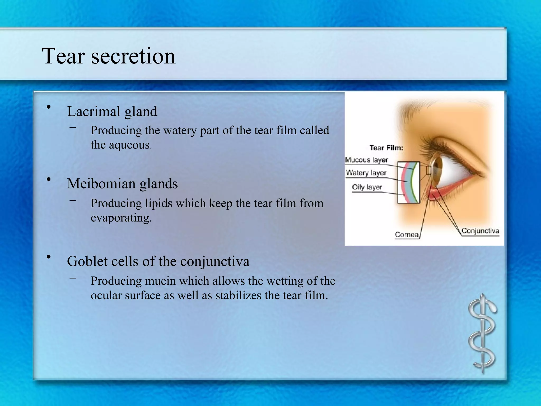 Dry eye | PPT