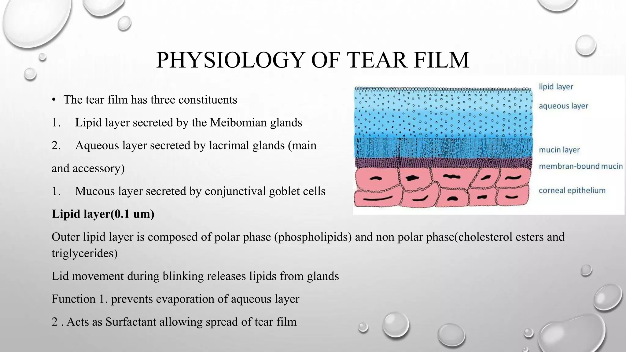 Dry eye disease | PPTX