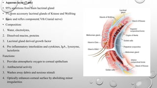 Dry eye disease | PPTX