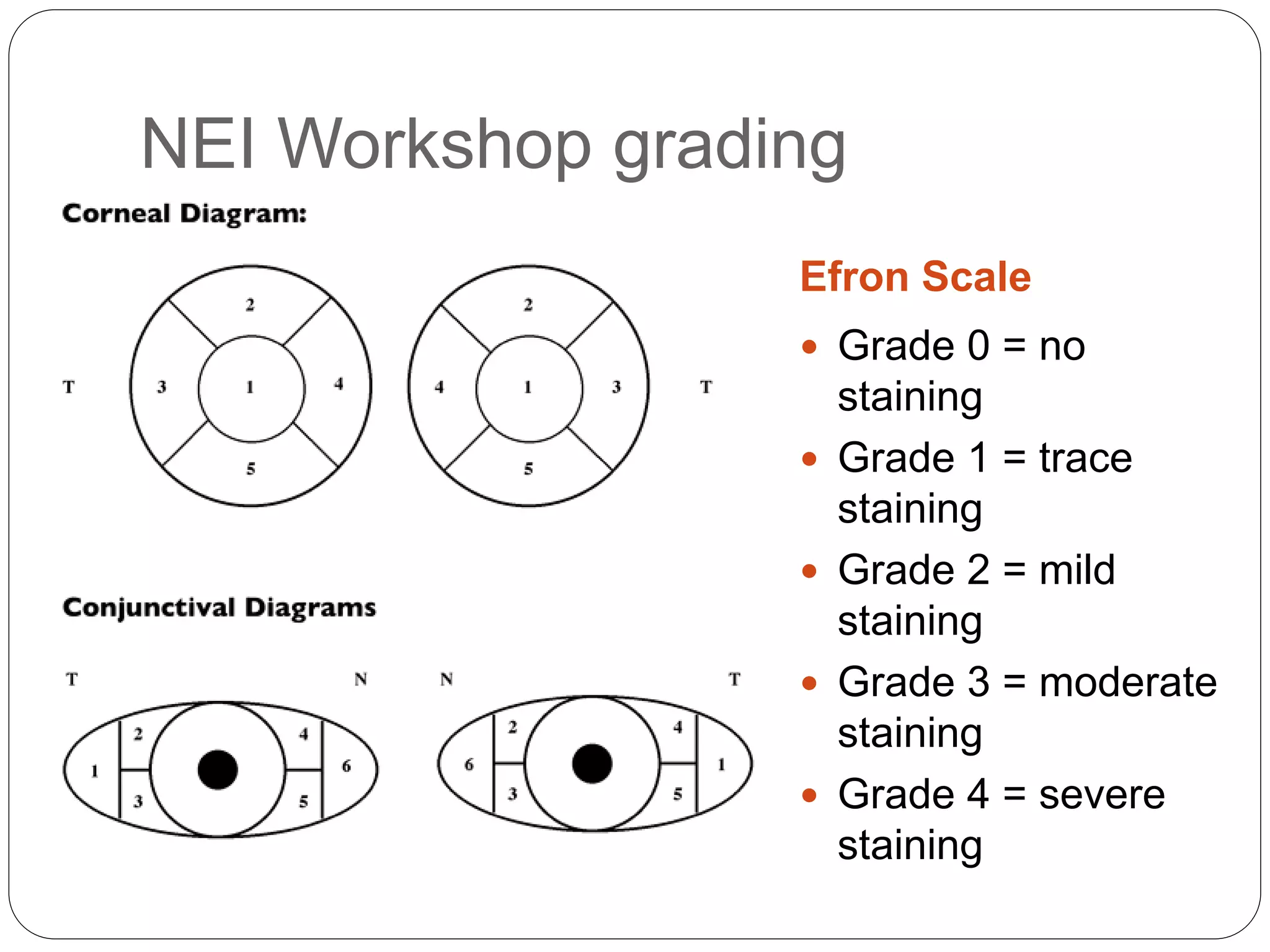 Dry Eye Disease | PPTX