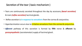Dry eye ( investiigations & basic ) | PPTX