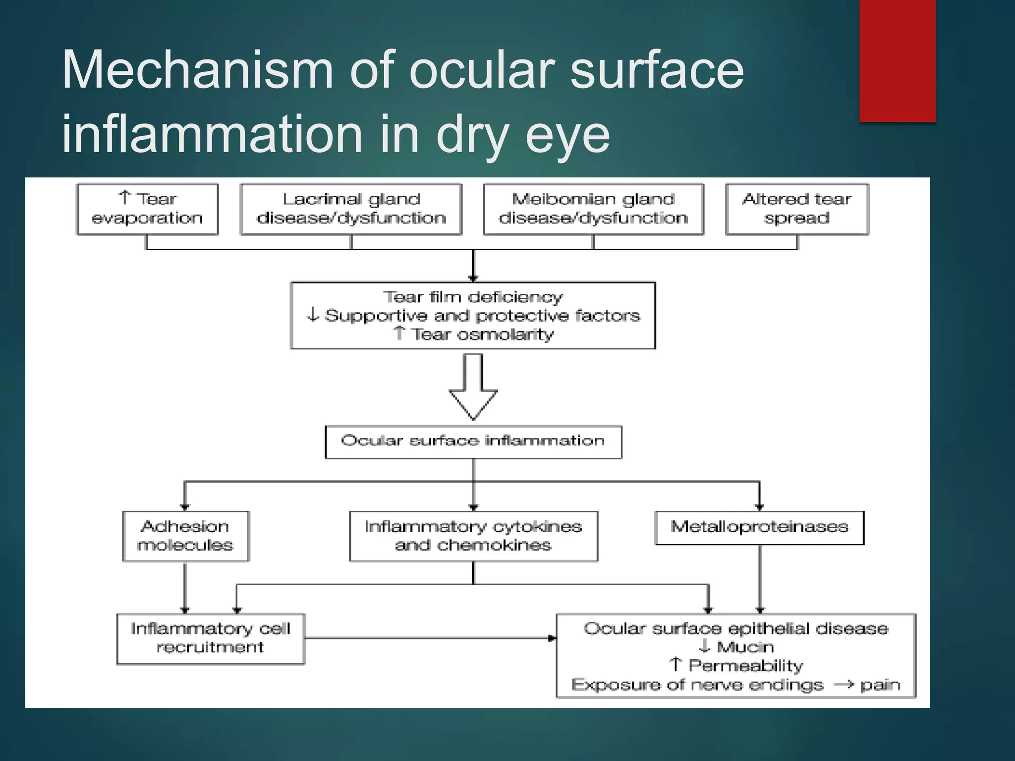 Dry eye pathology | PPTX