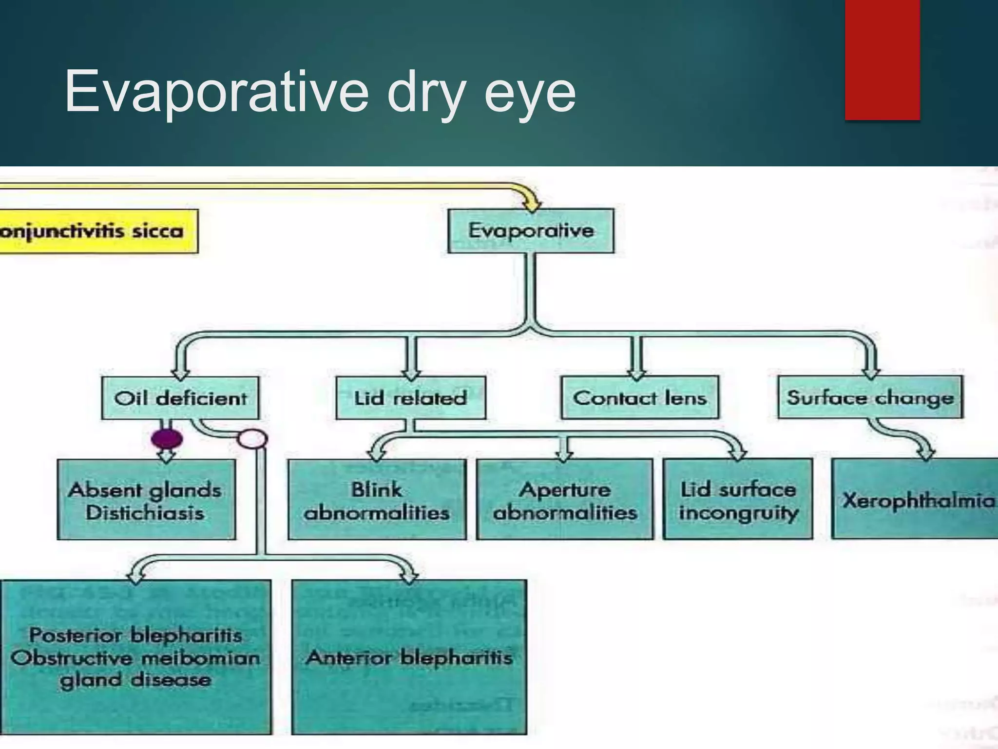 Dry eye pathology | PPTX