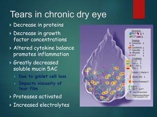 Dry eye pathology | PPTX