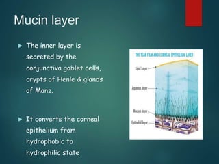 Dry eye pathology | PPTX