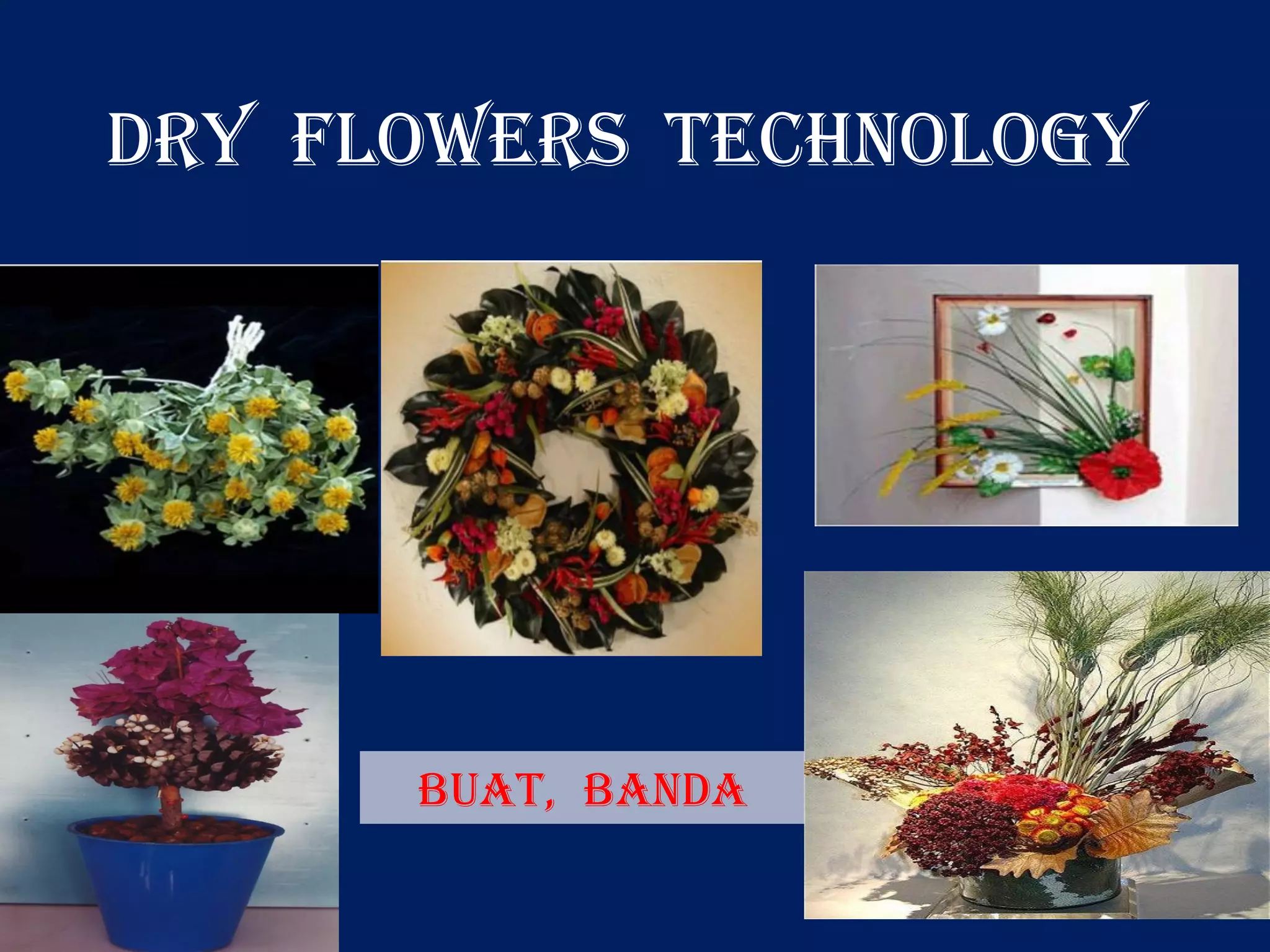 Dry flower. dry flower technology , advantage of dry flower technology ...