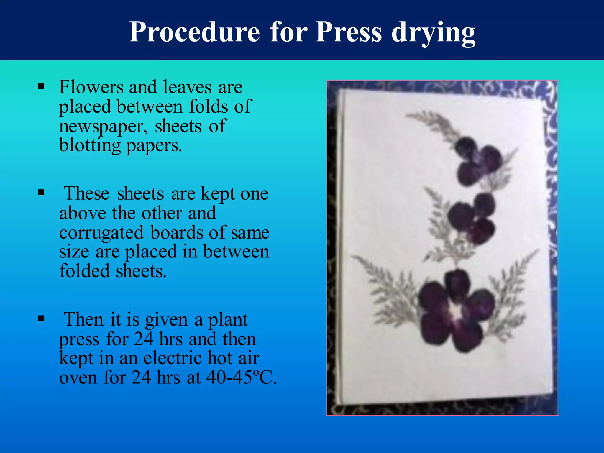 Dry flower. dry flower technology , advantage of dry flower technology ...