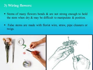Dry flower. dry flower technology , advantage of dry flower technology ...