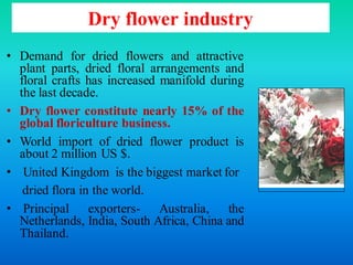 Dry flower. dry flower technology , advantage of dry flower technology ...