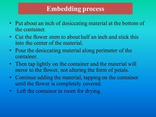 Dry flower. dry flower technology , advantage of dry flower technology ...