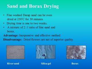 Dry flower. dry flower technology , advantage of dry flower technology ...