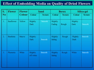 Dry flower. dry flower technology , advantage of dry flower technology ...