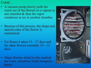 Dry flower. dry flower technology , advantage of dry flower technology ...