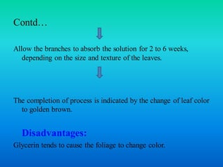 Dry flower. dry flower technology , advantage of dry flower technology ...