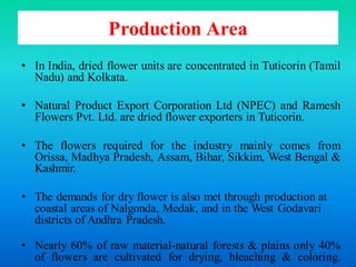 Dry flower. dry flower technology , advantage of dry flower technology ...