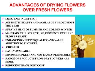 Dry flower. dry flower technology , advantage of dry flower technology ...
