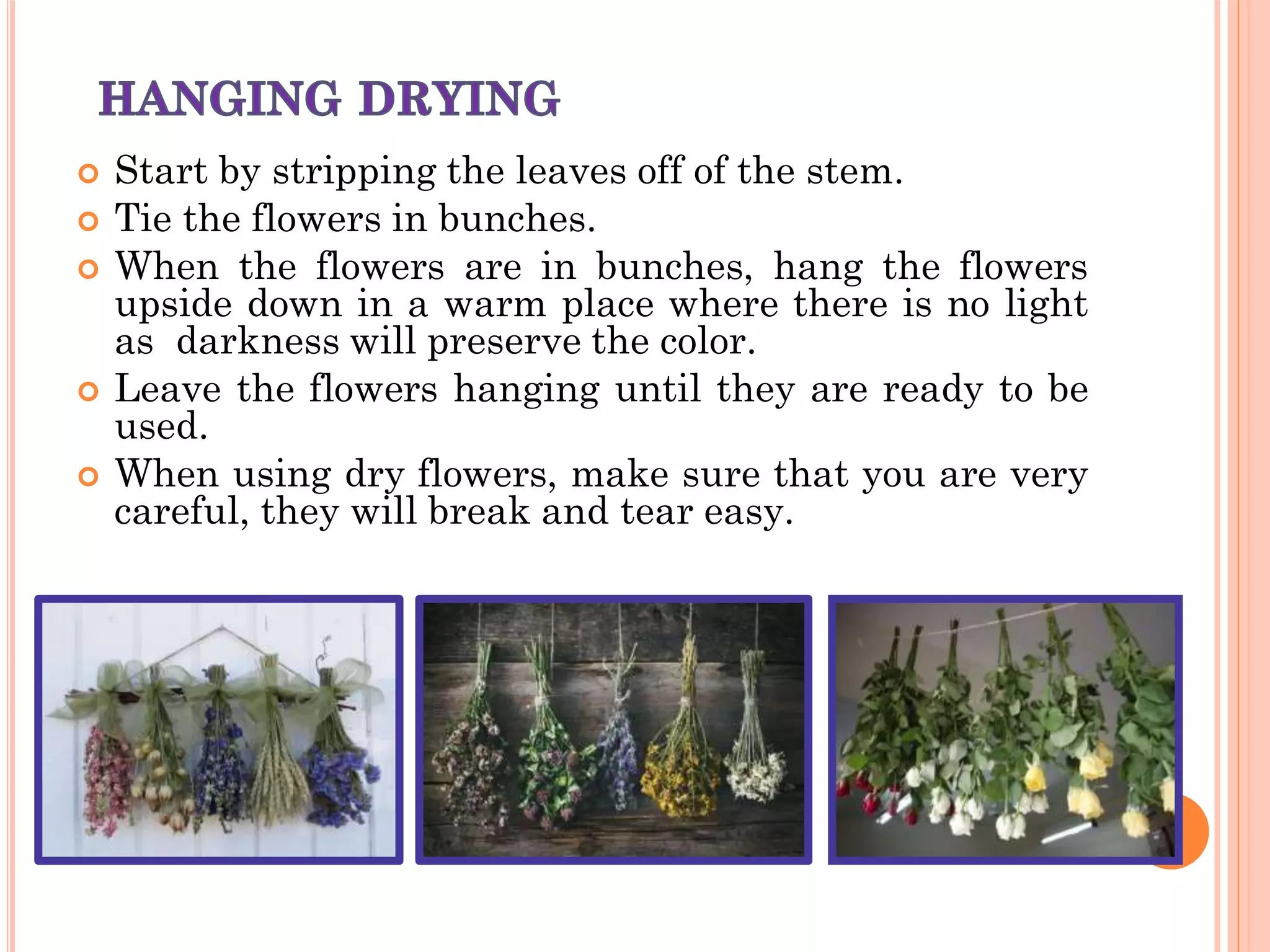 Dry flower processing technology | PDF