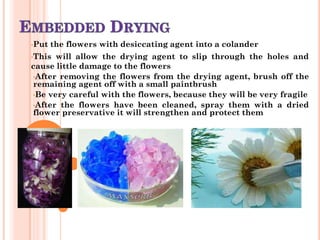Dry flower processing technology | PDF