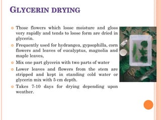 Dry flower processing technology | PDF