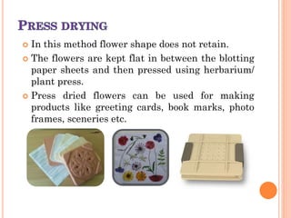 Dry flower processing technology | PDF