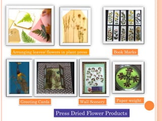 Dry flower processing technology | PDF
