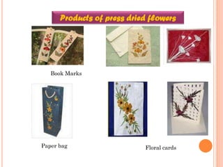 Dry flower processing technology | PDF