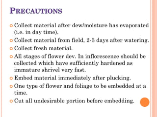 Dry flower processing technology | PDF