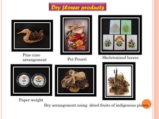 Dry flower processing technology | PDF