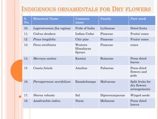Dry flower processing technology | PDF