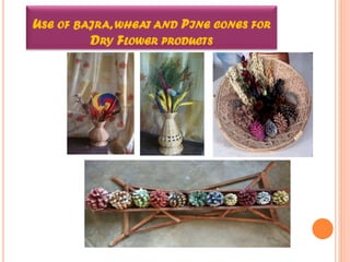 Dry flower processing technology | PDF