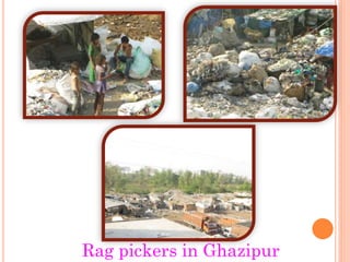 Dry flower processing technology | PDF