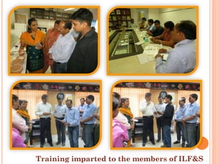 Dry flower processing technology | PDF